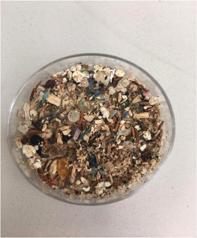 Microplastics in The Tidal Freshwater Potomac River – Potomac ...